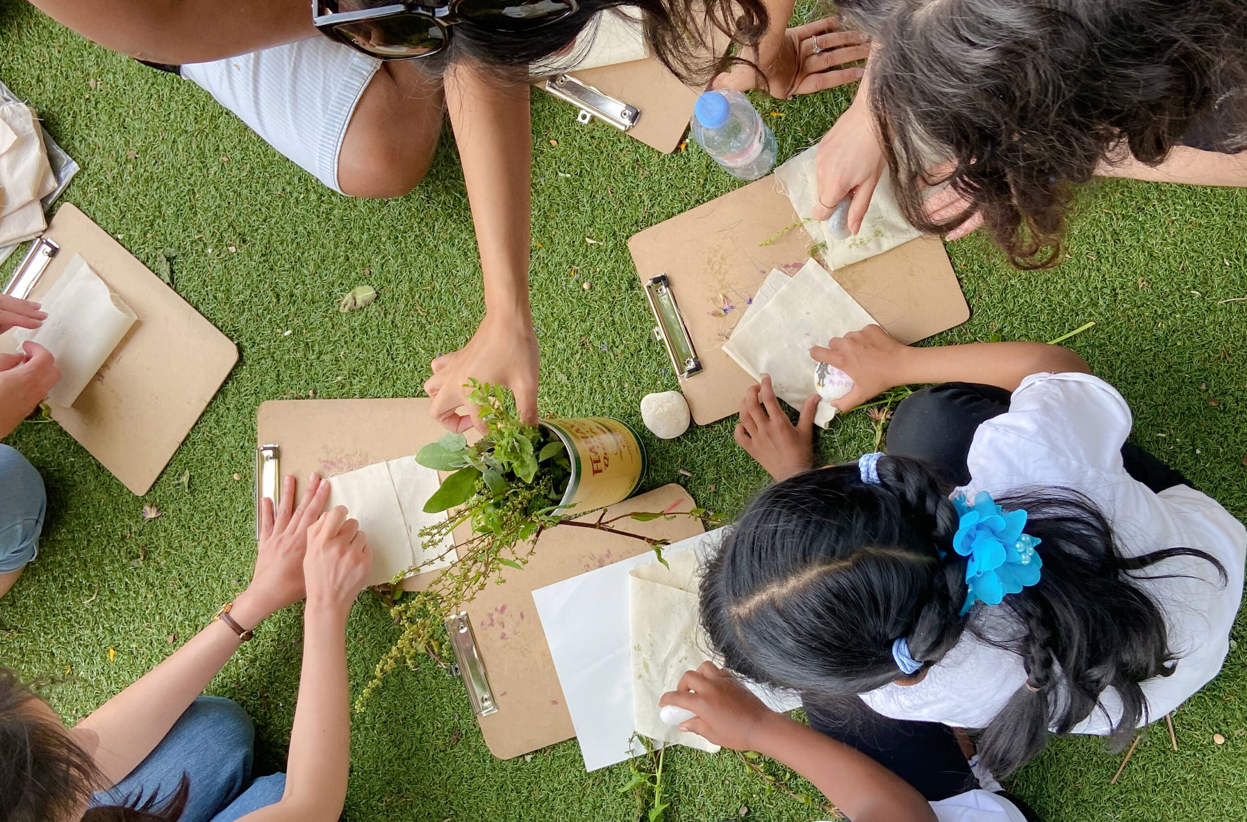 Story Seed: Environmental Sensory Storytelling - Discover Children’s ...